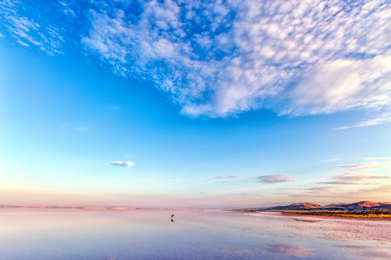 Landscape of Salt Lake. Salt Lake ( Turkish: Tuz Golu meaning Salt Lake ...
